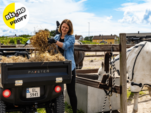 Paxter Utility el-kjøretøy til bymiljø, park, anlegg og gårdsdrift